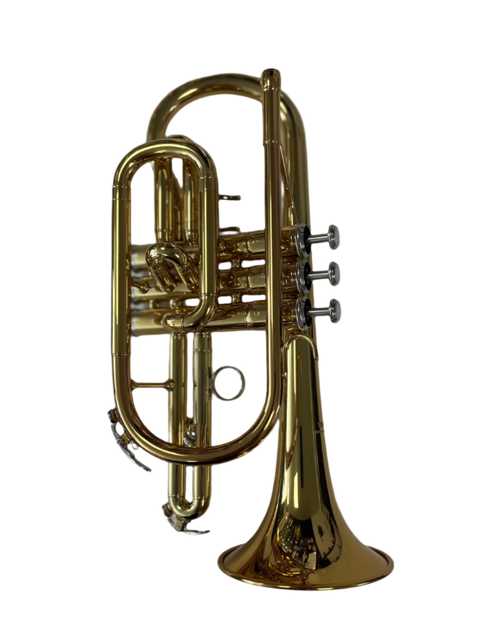 Used Instruments – Windblowers